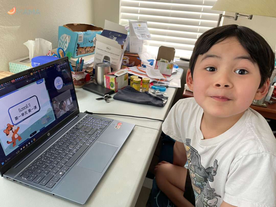 LingoAce: The Affordable and Convenient Way to Teach Kids Chinese