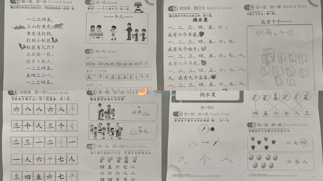 LingoAce: The Affordable and Convenient Way to Teach Kids Chinese